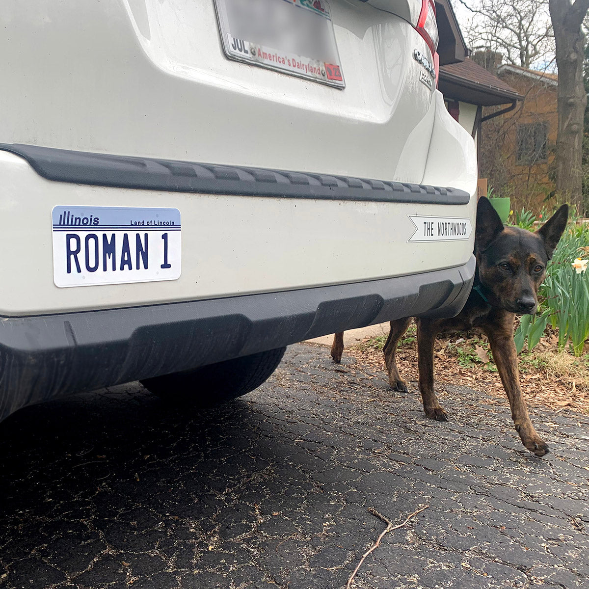 Roman 1 License Plate Sticker – Links' Camp